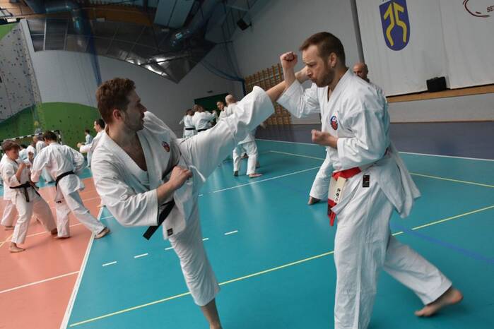 Stáž WOF Okinawa Shorin-ryu Karate pod taktovkou Staniszewa - Sdružení ...